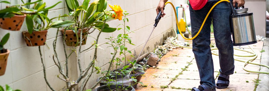 About us | Pest Control